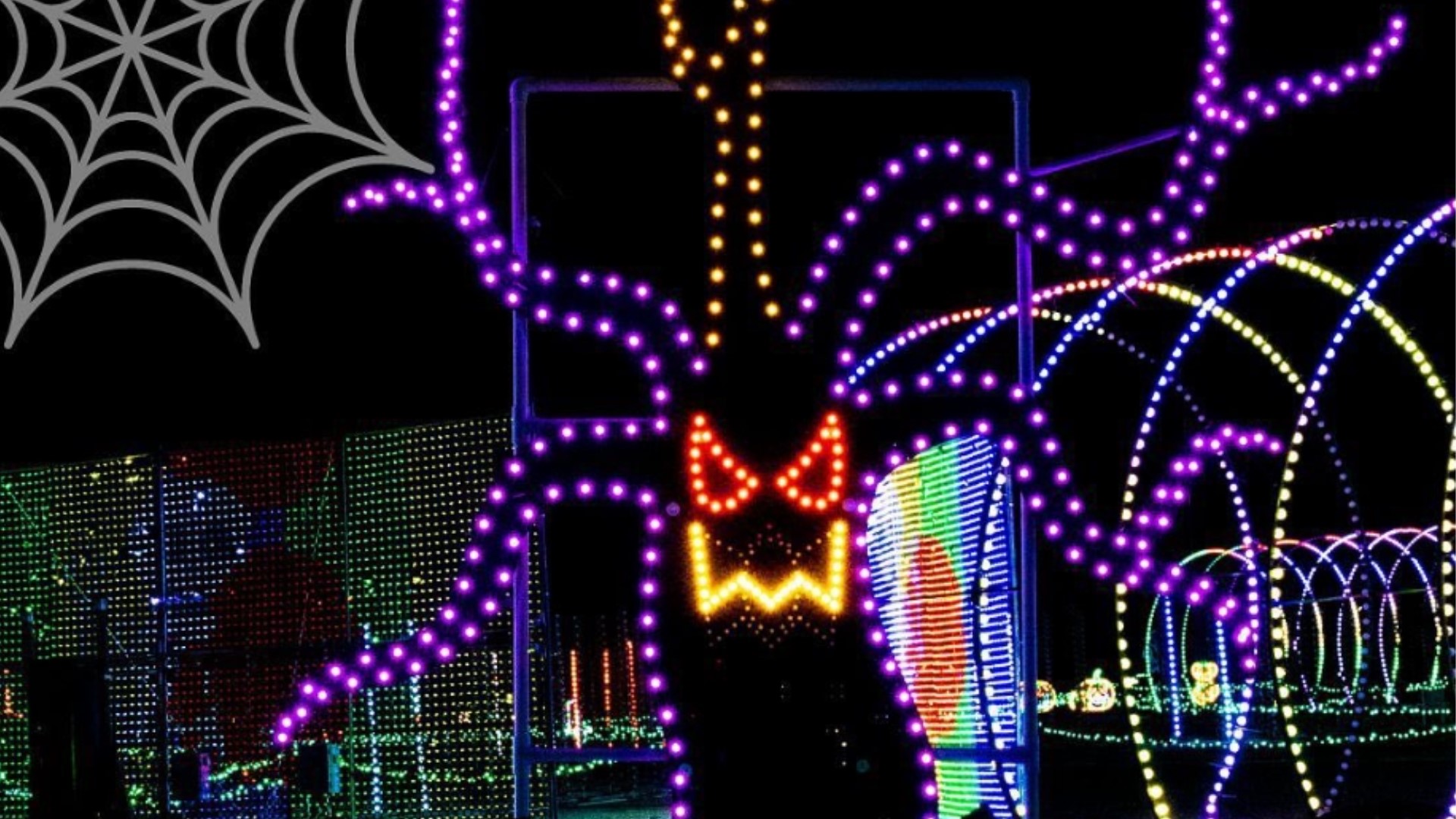 Discover the best fall events in Colorado this weekend: Oct. 17-19 | 9news.com