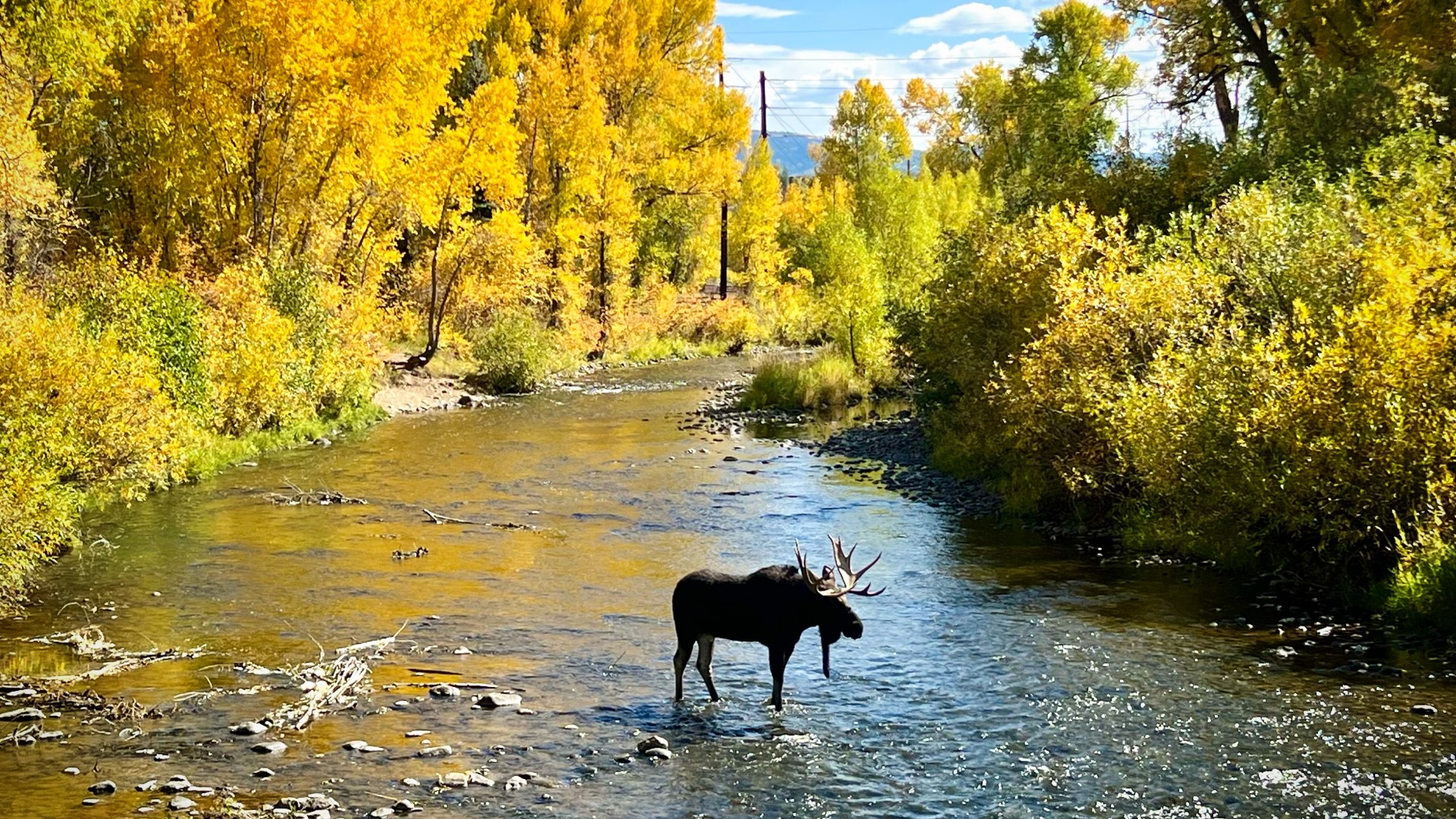 Colorado fall colors guide: When and where leaves peak in 2021 | 9news.com