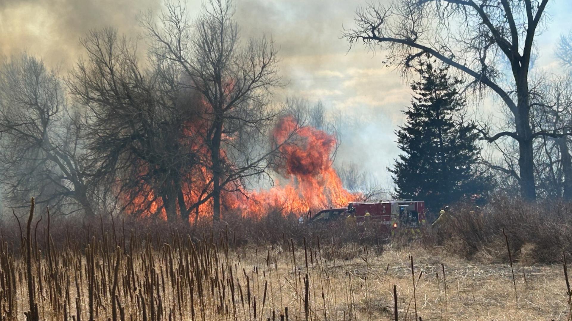 Stacy Feldman death: Timeline of the Robert Feldman murder case | 9news.com