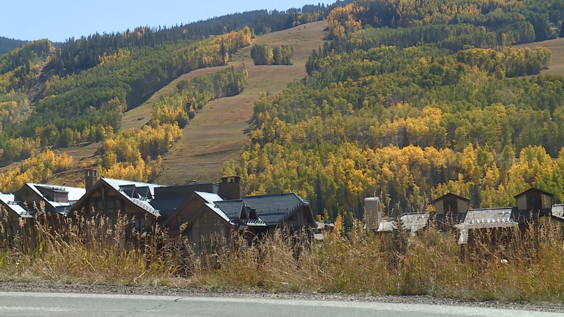 Fall colors have peaked in Colorado | 9news.com