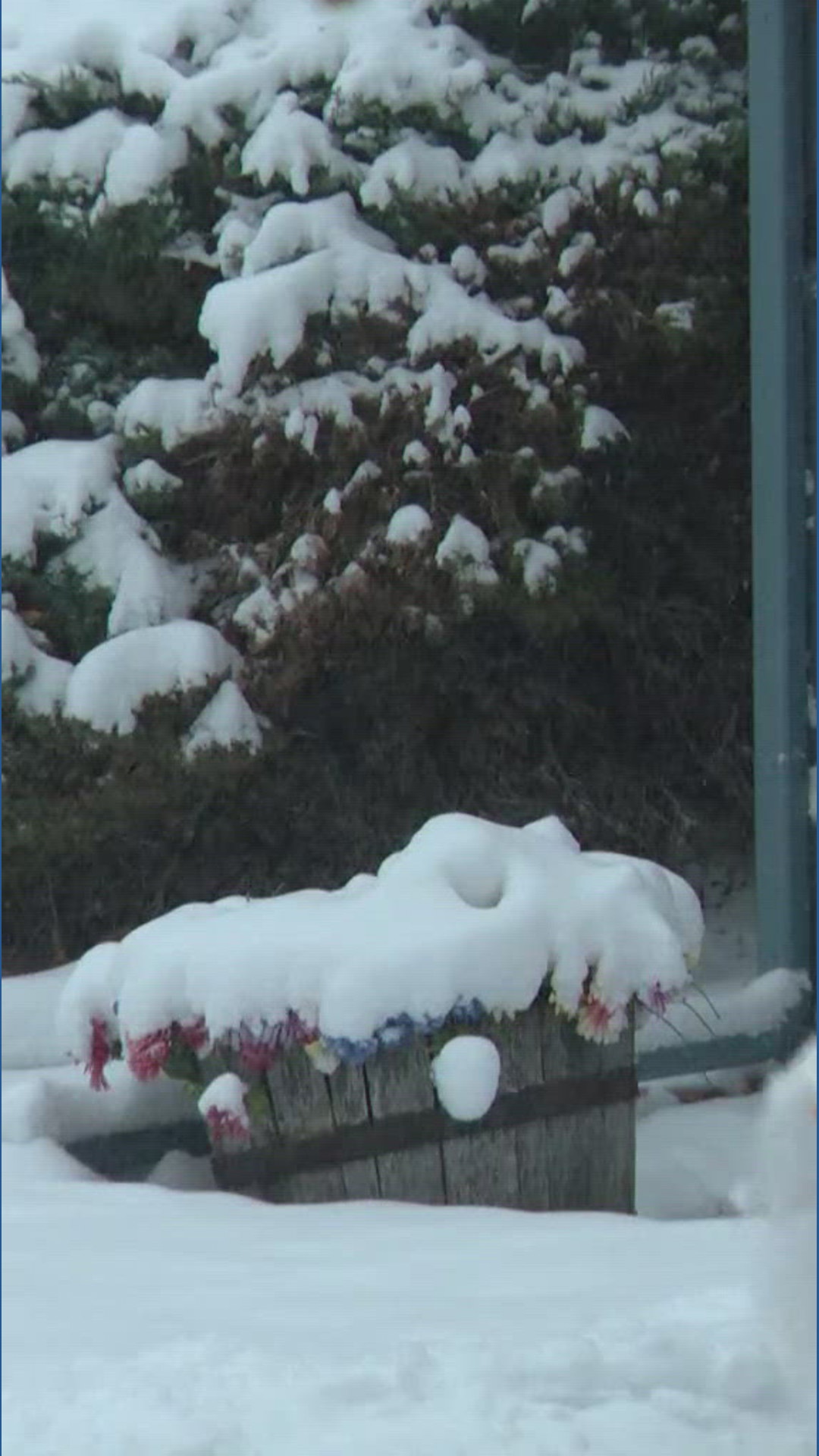 Aurora Snow Busters program seeks volunteers to help neighbors clear ...