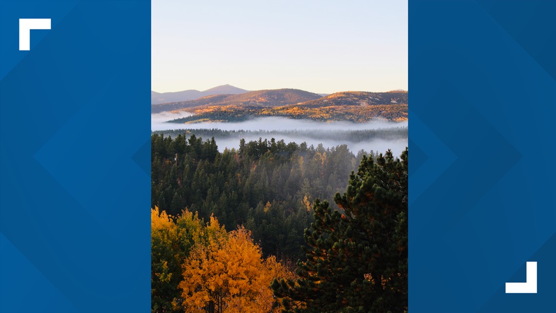 Colorado fall colors: When and where leaves will peak in 2020 | 9news.com