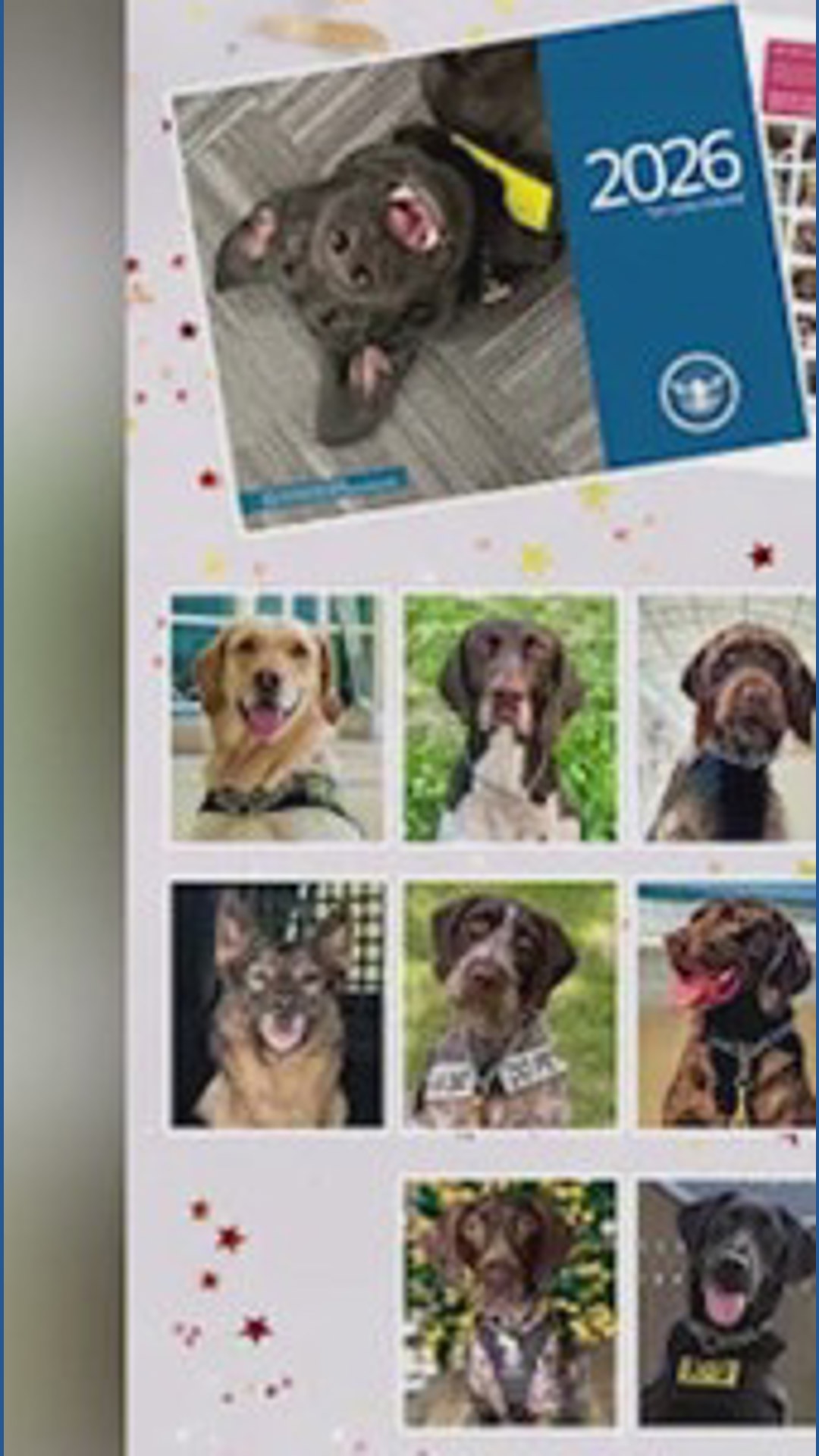 TSA canine calendar features agency's cutest dogs | 9news.com