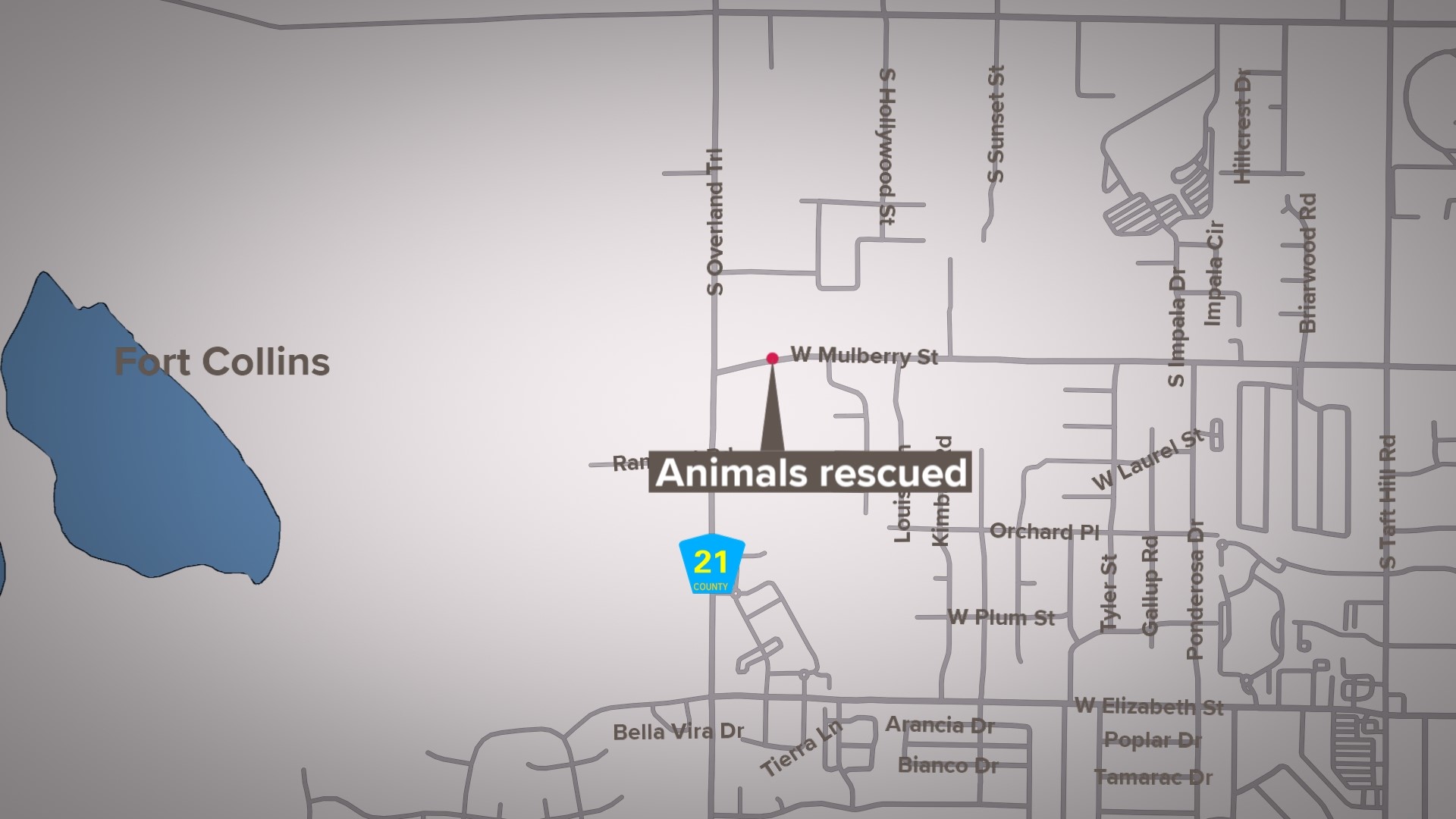 Larimer County woman arrested for animal cruelty | 9news.com
