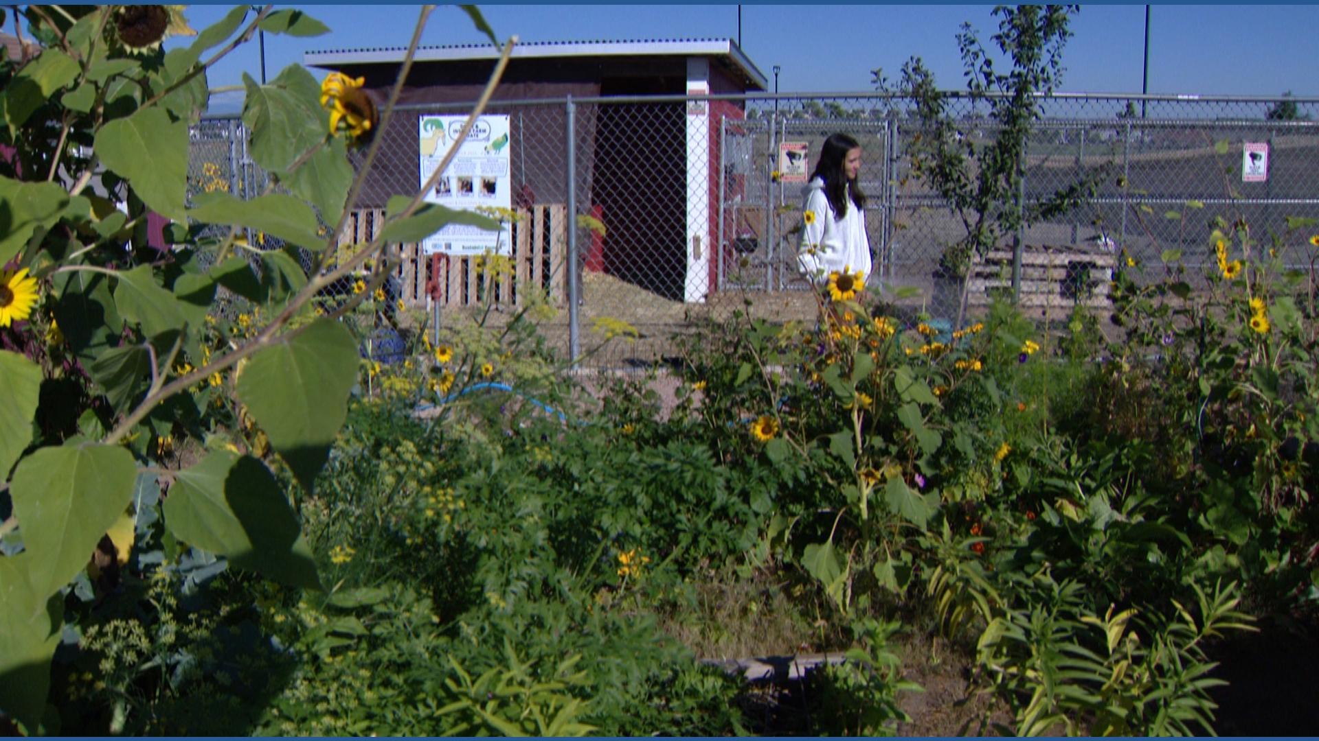 Top-performing Denver school uses farm-based learning to teach ...