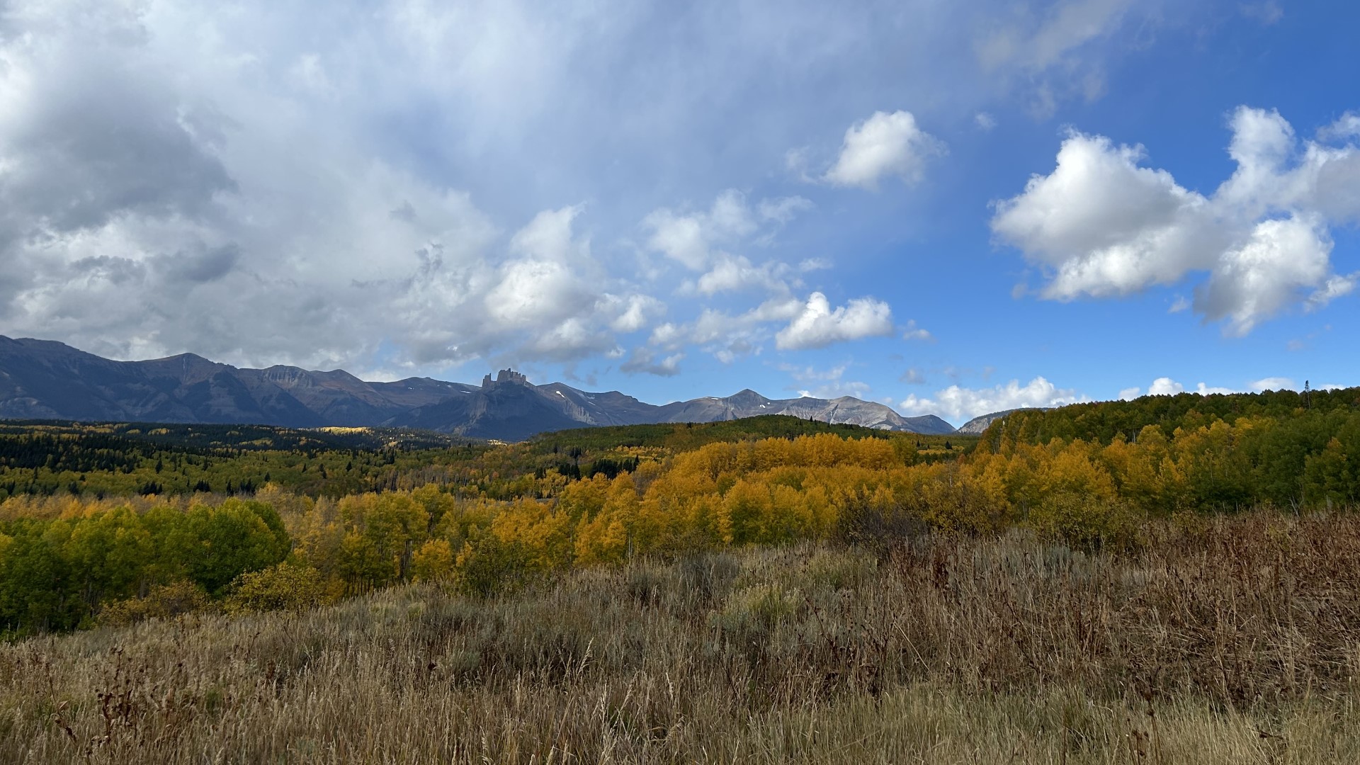 Fun facts about Aspens | 9news.com