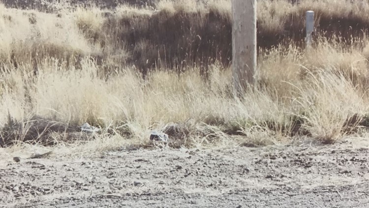 Colorado cold cases: 4 women found dead in Weld County | 9news.com