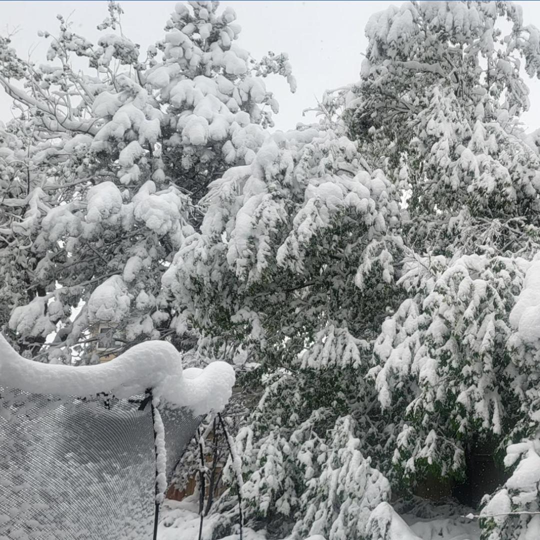 Thousands without power: Outages reported during spring Colorado ...