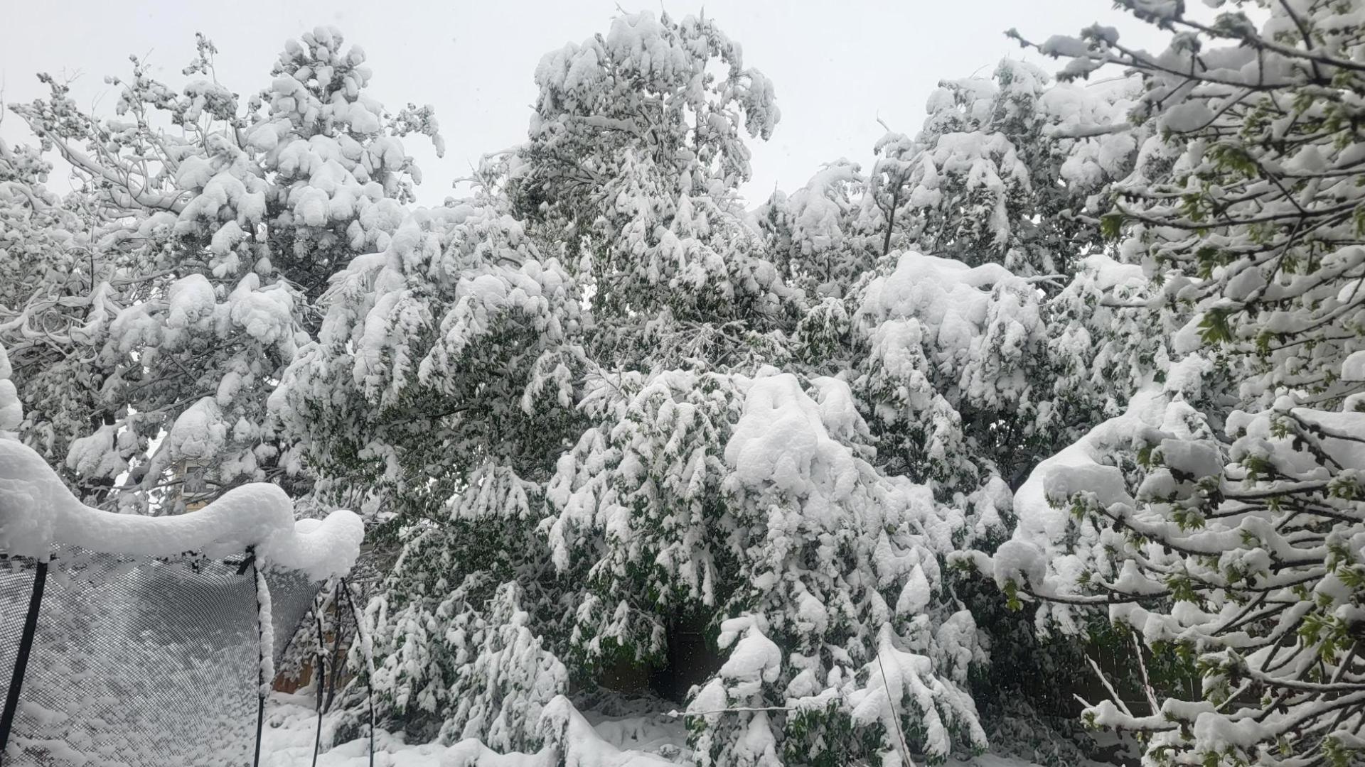 Thousands without power: Outages reported during spring Colorado ...