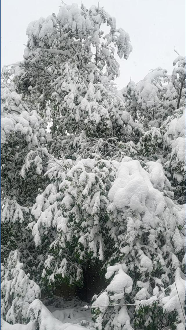 Thousands without power: Outages reported during spring Colorado ...