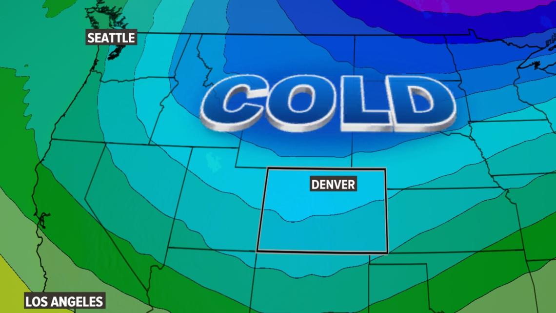 Meet Bowie: The Colorado 'Uber dog' who’s become an internet sensation ...