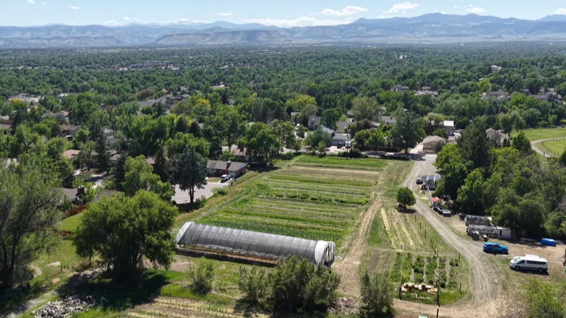 Arvada ends local farm's lease over safety violation | 9news.com