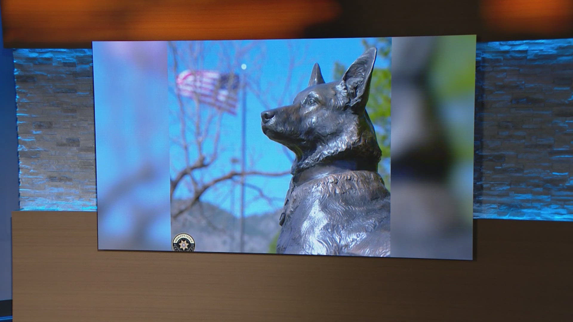 'His ultimate sacrifice' | K9 Graffit immortalized in statue unveiling ...