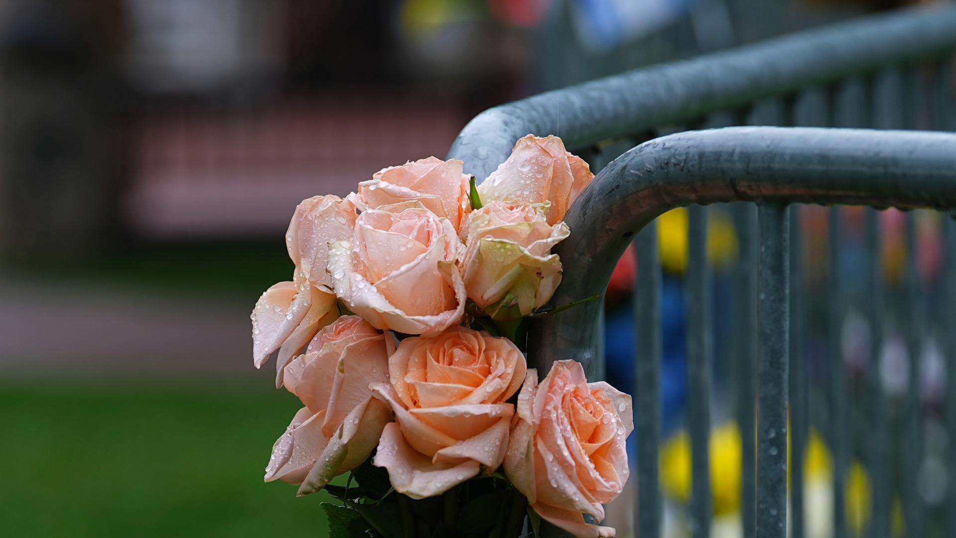 Dylan Redwine case: Mark Redwine sentenced to 48 years | 9news.com