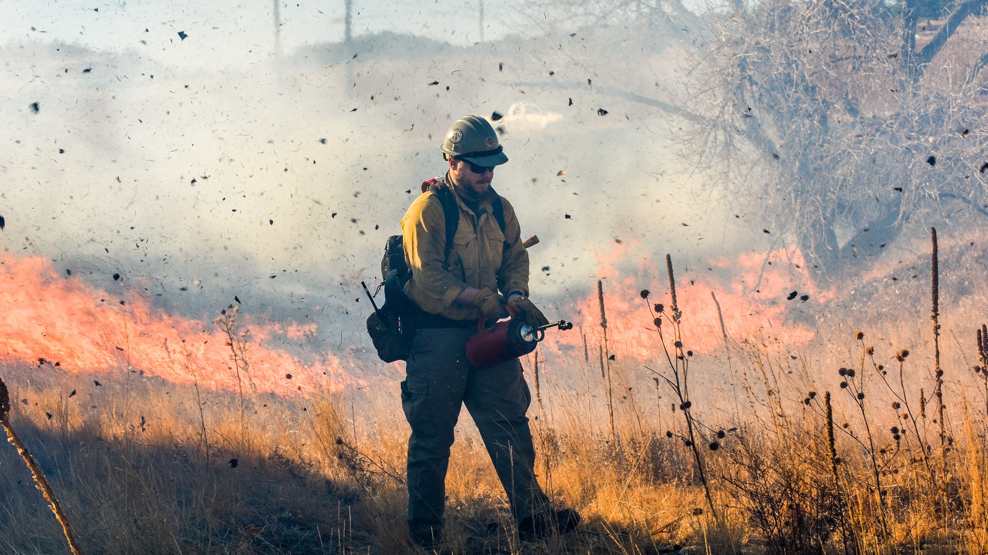 The story behind Colorado's most destructive wildfire | 9news.com