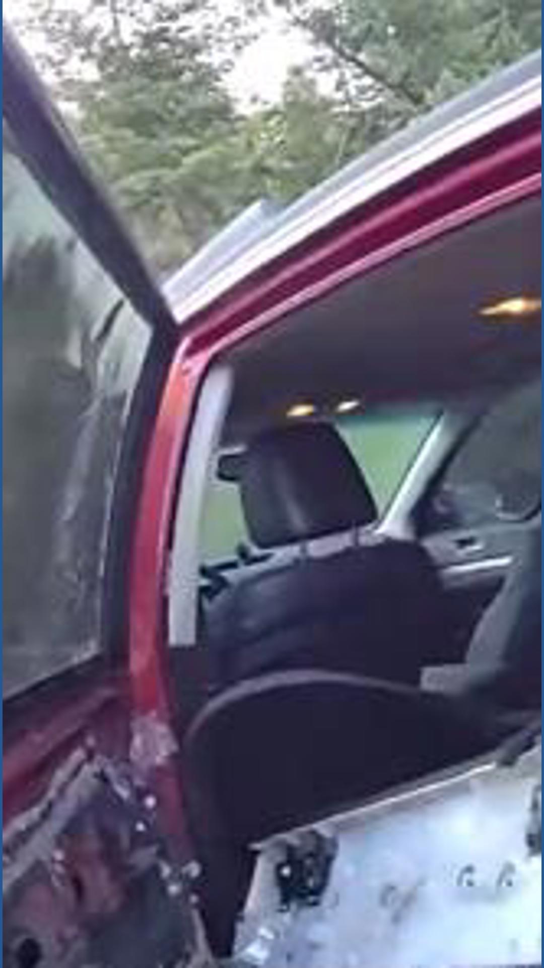 Bear destroys an unlocked car in the Colorado foothills | 9news.com