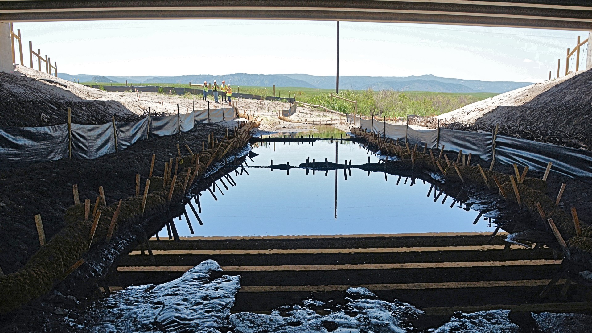 New wildlife crossing opens on I-70 in Colorado mountains | 9news.com