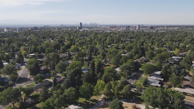 Keely Chalmers: Meet the 9NEWS team | 9news.com