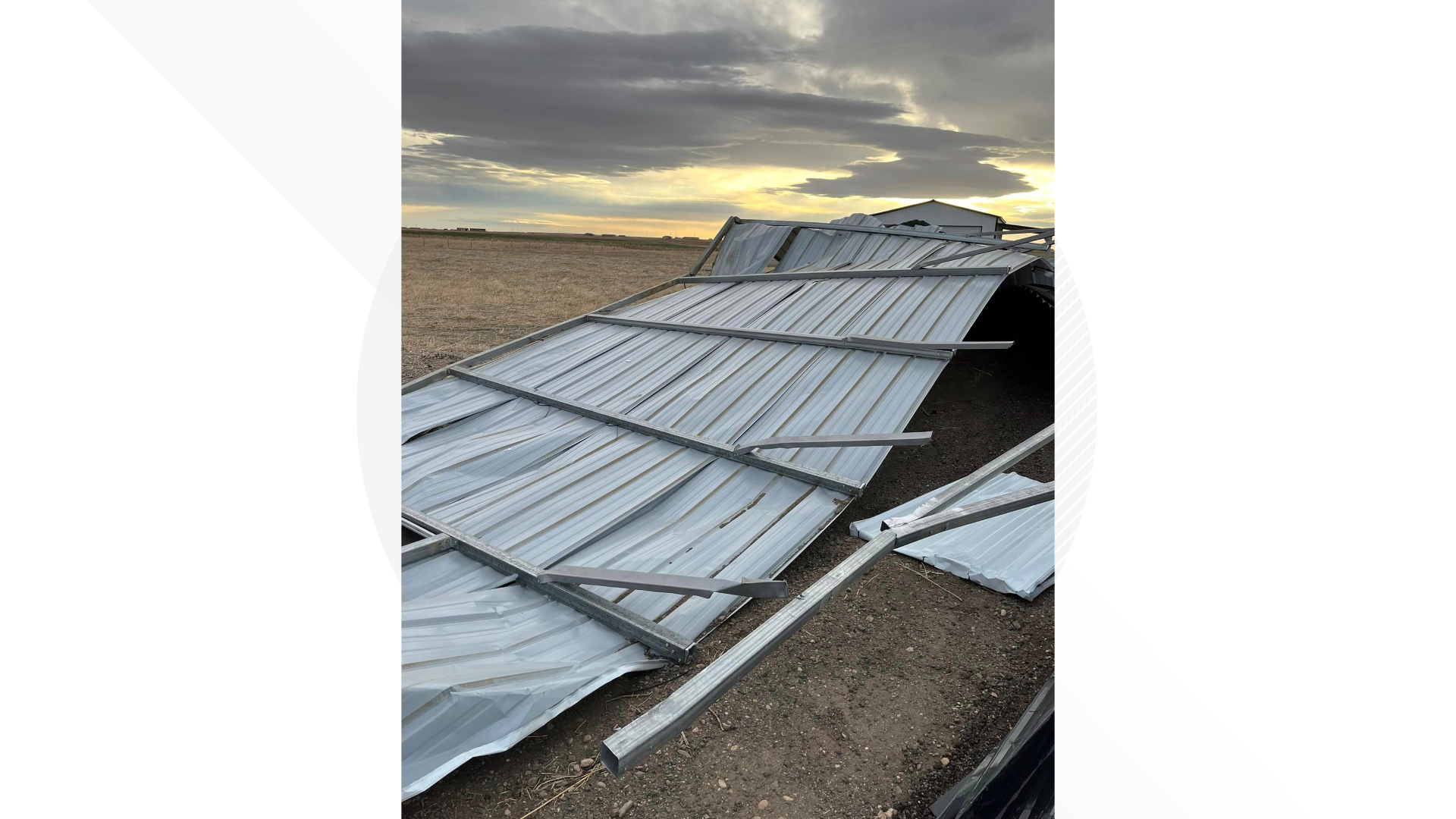 Wind destroys buildings at Pierce animal rescue | 9news.com