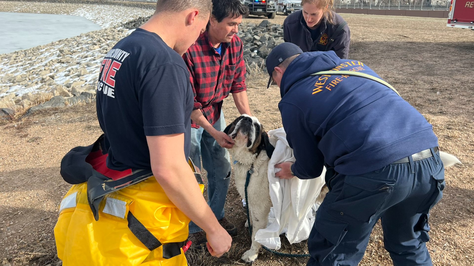 Dog rescued from icy water | 9news.com