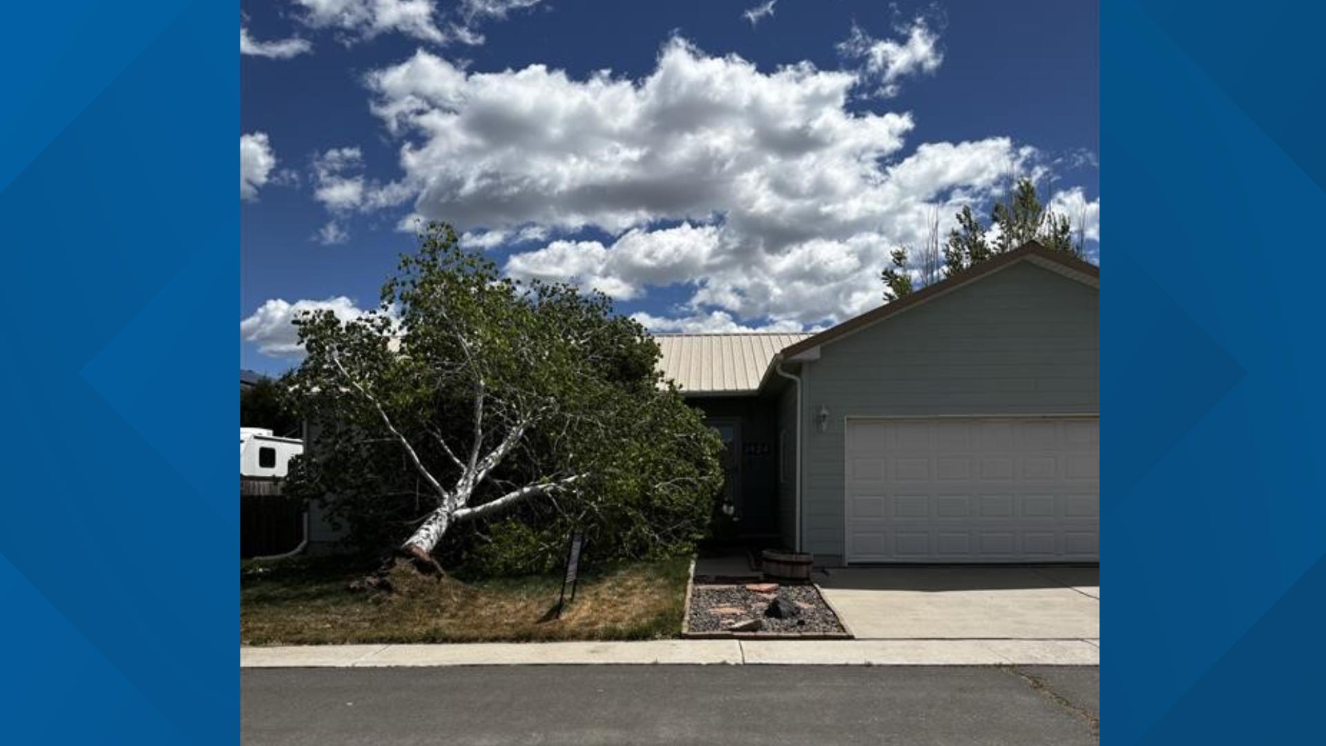 'Dust storm' causes downed trees, debris in Brush | 9news.com