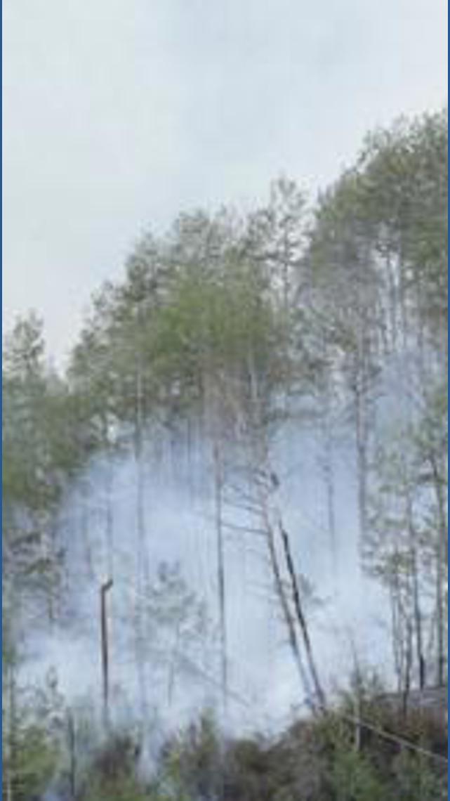 Firefighters work to contain a wildfire in Eagle County | 9news.com