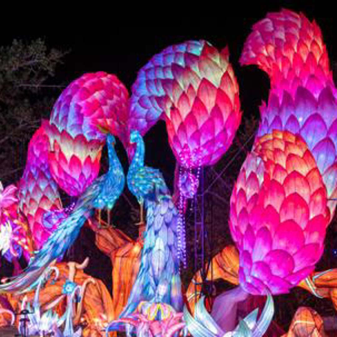 Bright Nights lantern festival returns at Denver's Four Mile Park ...