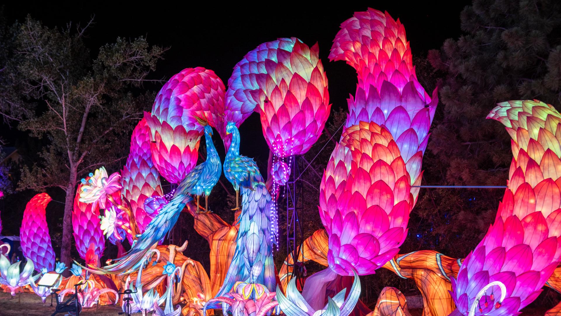 Bright Nights lantern festival returns at Denver's Four Mile Park ...