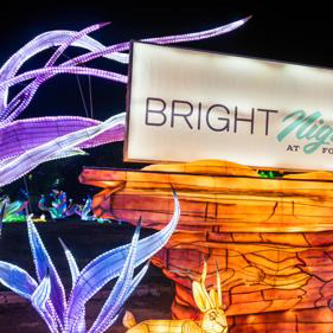 Bright Nights lantern festival returns at Denver's Four Mile Park ...
