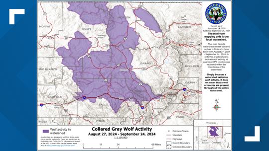 Colorado wolves: New map shows activity over past month | 9news.com