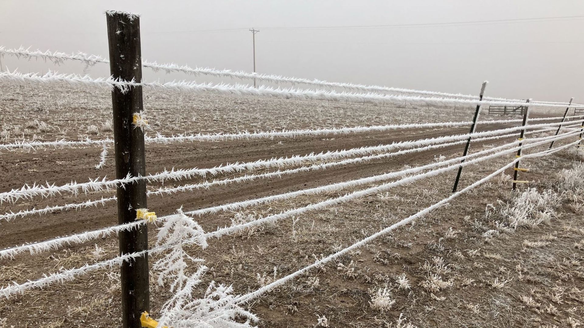 Denver chills out: Snow returning to Colorado as Denver drops to 7 ...
