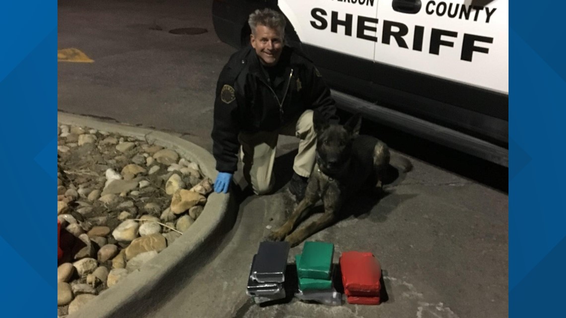 Memorial service for Colorado police dog killed in line of duty | 9news.com