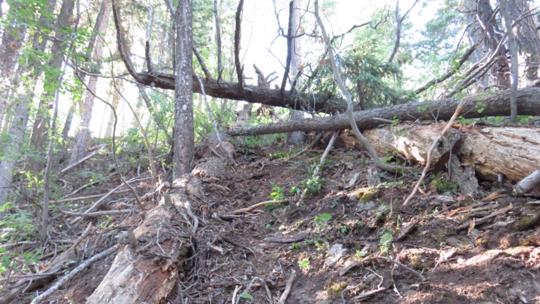 Mark Redwine trial: Recap of testimony from prosecution, defense ...