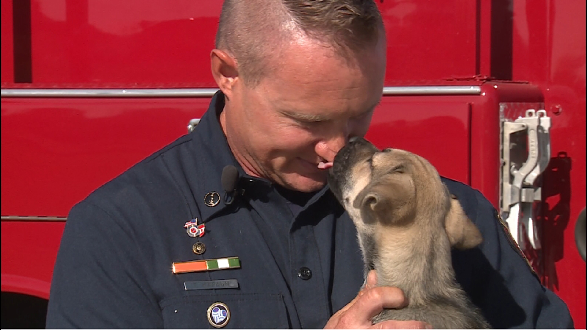 Firefighters, puppies calendar raises money for rescue dogs | 9news.com