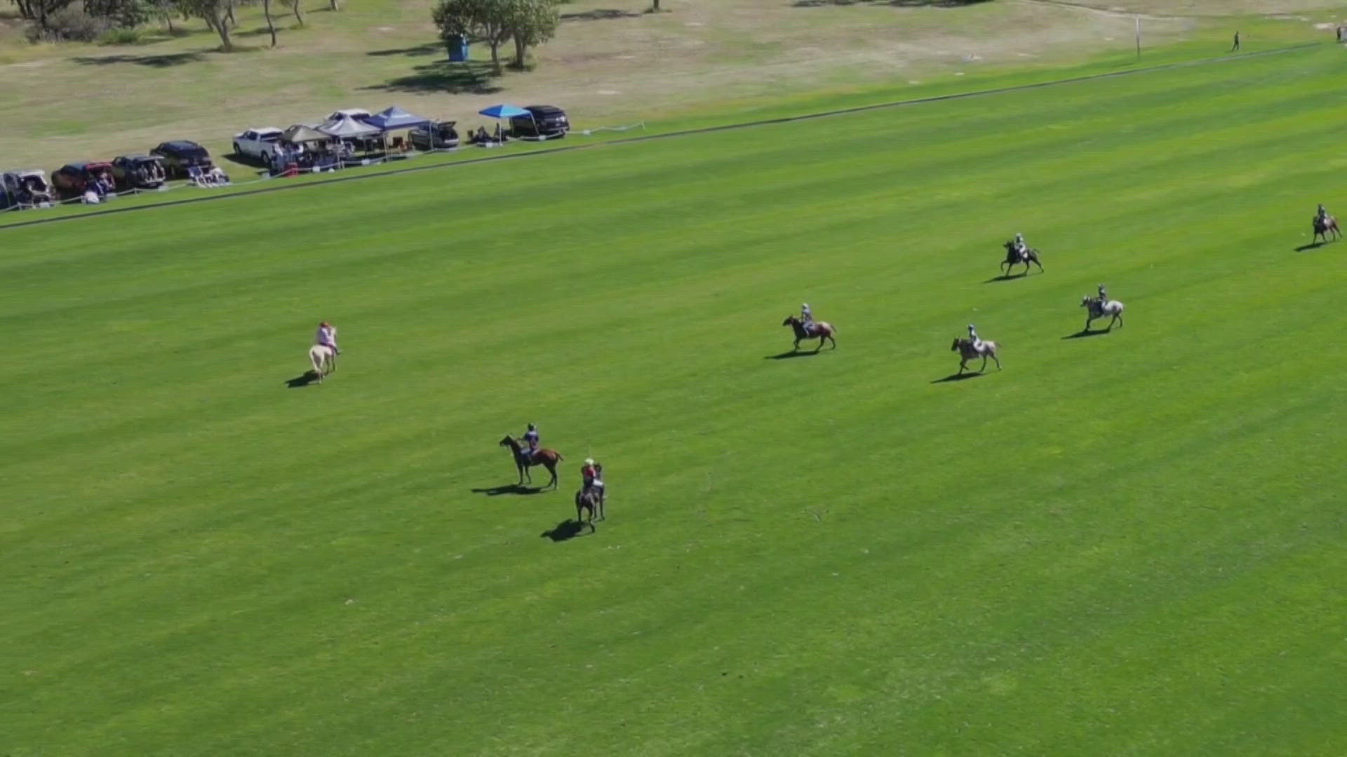 Denver Polo Club bringing back Sunday Funday series | 9news.com