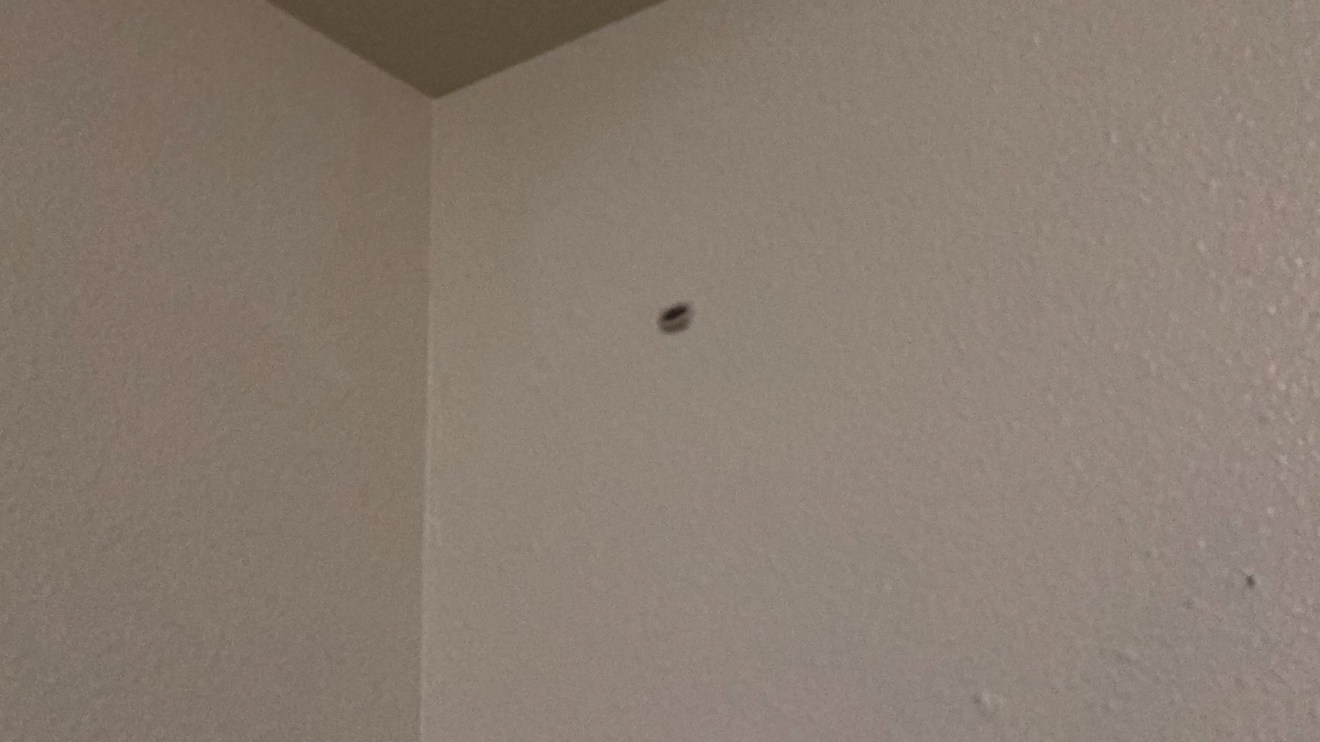 Commerce City police investigate after shots fired | 9news.com