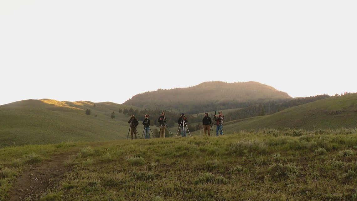 Rick McIntyre helps Yellowstone visitors spot wolves | 9news.com