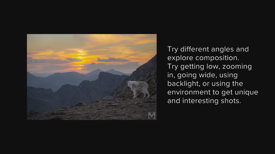 Molly McCormick’s 9 tips for better photos | 9news.com