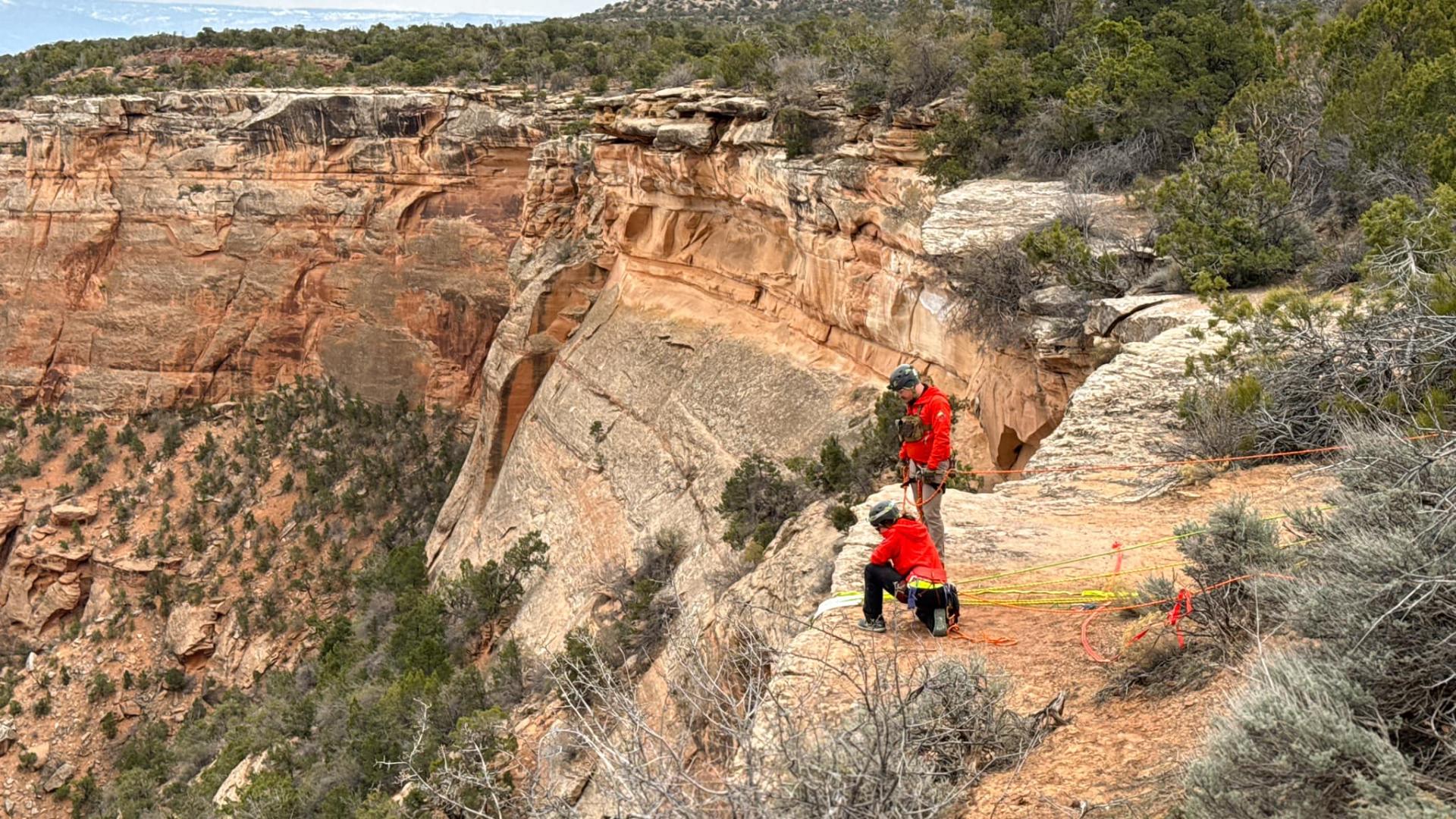 Dog rescued after 100-foot fall at Colorado National Monument | 9news.com
