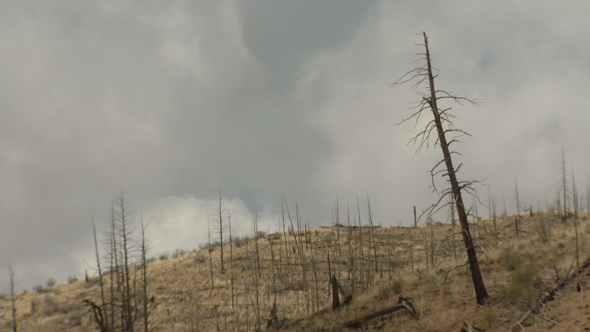 The Hayman Fire, 20 years later | 9news.com