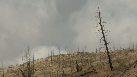 The Hayman Fire, 20 years later | 9news.com