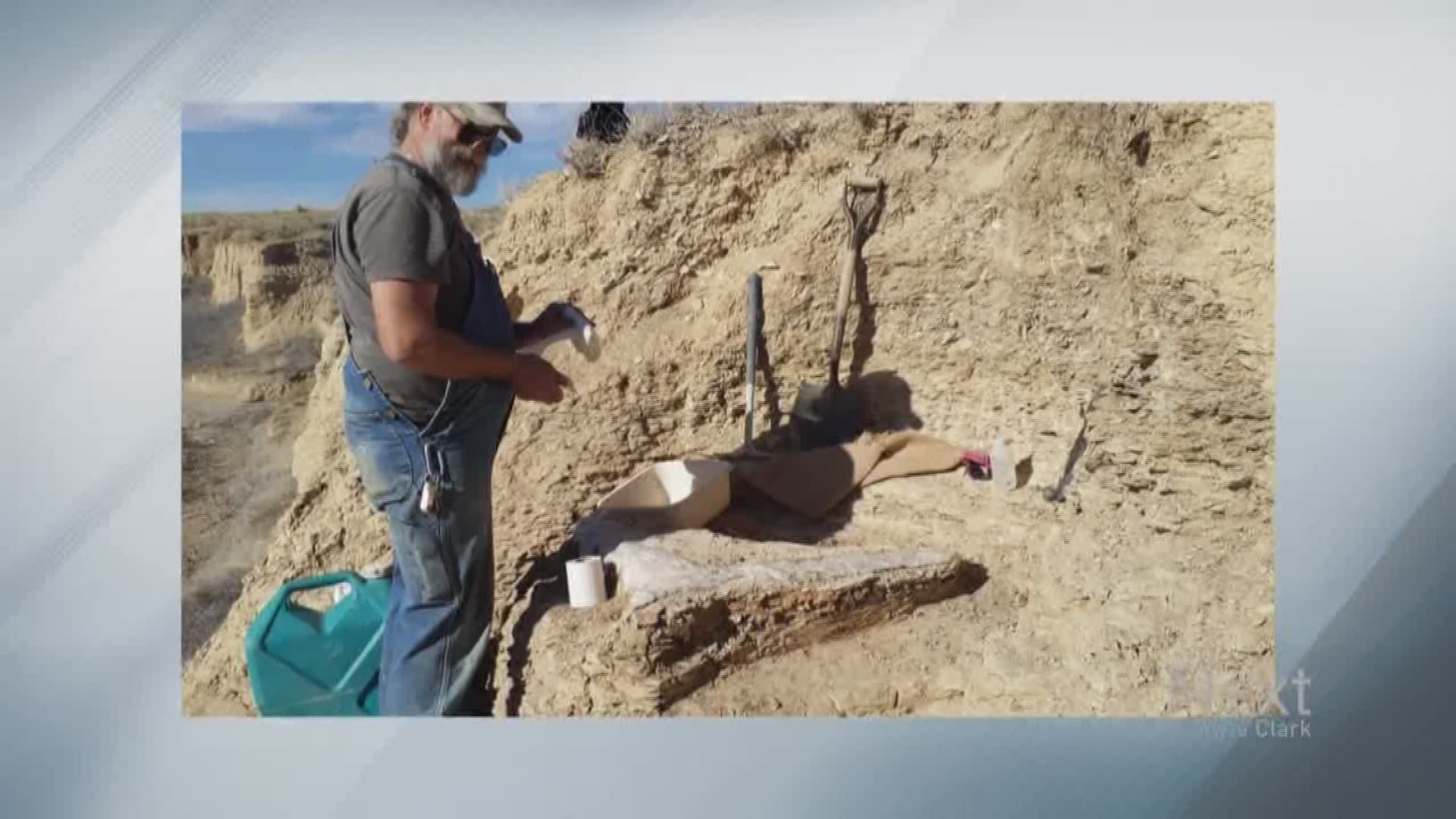 Historic fish fossil discovered in Comanche National Grassland | 9news.com