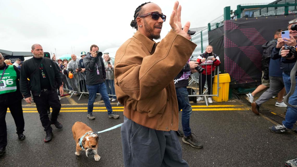 Formula 1 driver had to put beloved English Bulldog down after ...