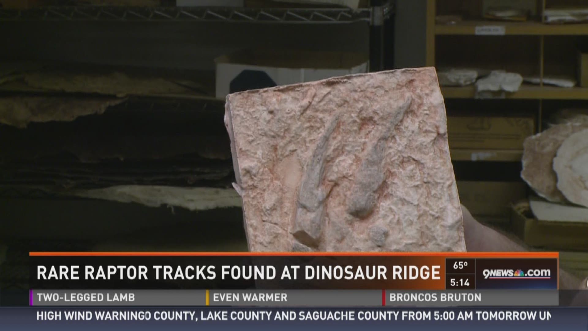 Rare raptor tracks found at Dinosaur Ridge | 9news.com