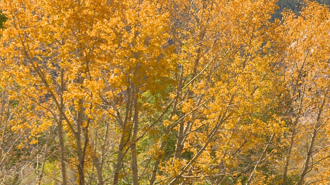 Cracker Barrel acknowledges logo change backlash, says traditions remain intact | 9news.com