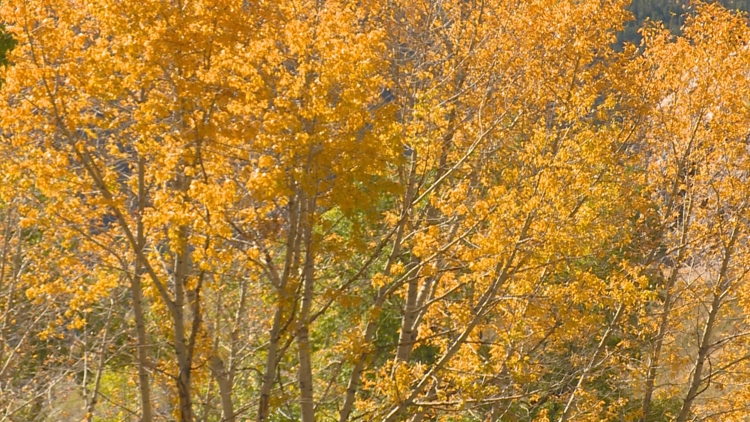 Denver warms before cold front brings wildfire smoke to Colorado ...