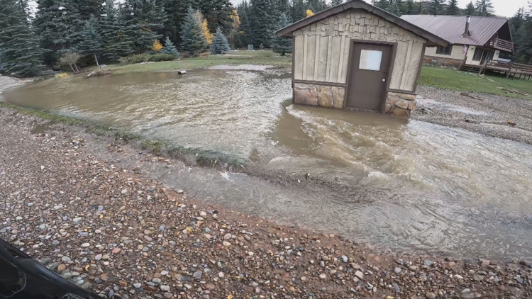 Jennifer Reali, infamous "fatal attraction killer," dies after release ...