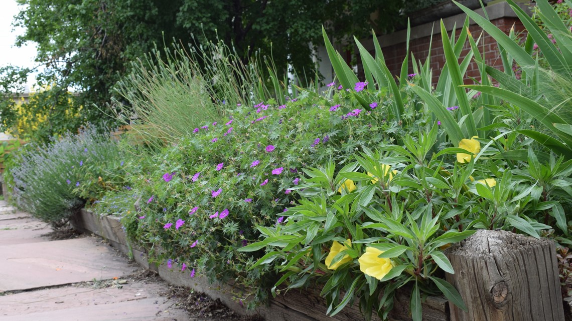Denver's historic Baker neighborhood is in full bloom this time of year ...