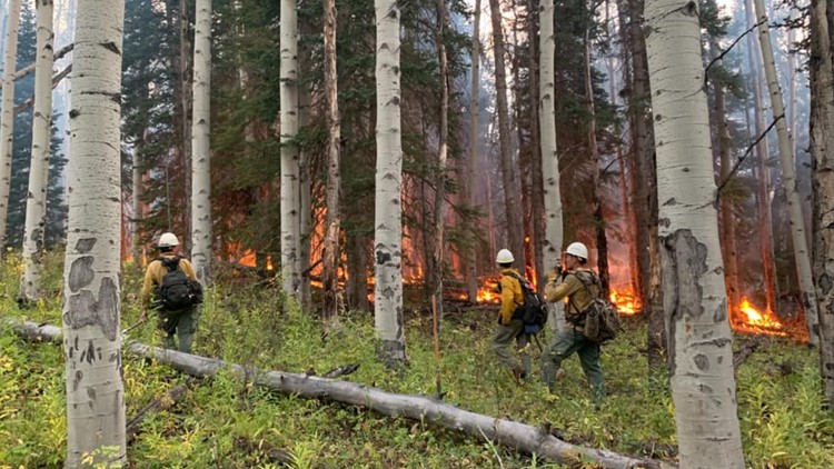 Remote wildfire forces closure of forest land | 9news.com