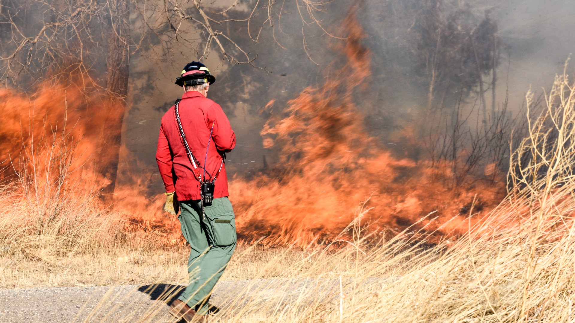 The story behind Colorado's most destructive wildfire | 9news.com